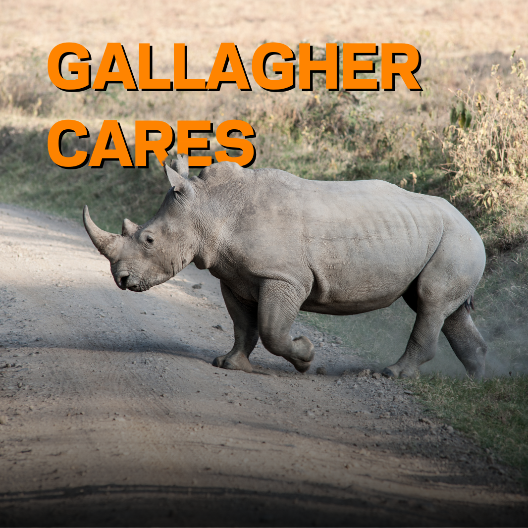 Gallagher Cares about the Safety of your Animals – Gallagher South ...