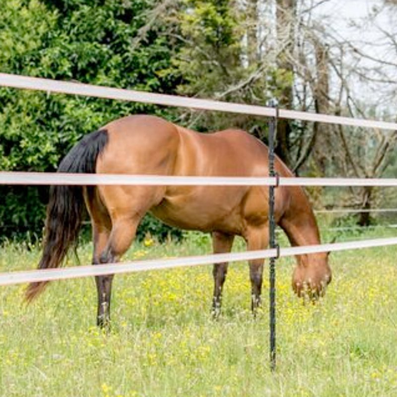 Treadin Posts – Gallagher South Africa Online Store